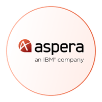 Finding the Perfect Aspera Alternative for Your Business - Raysync