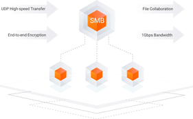 Raysync SMB | High speed File Transfer Software- Raysync