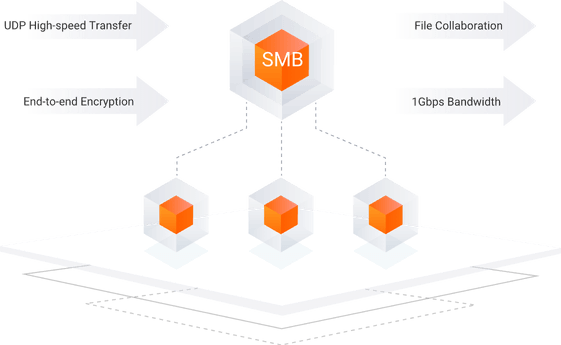 Raysync SMB | High speed File Transfer Software- Raysync