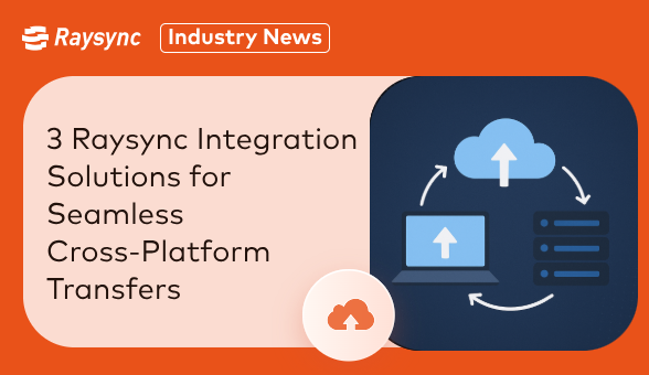 Raysync Integration Solutions: JS SDK, HTTP API & CLI for Secure, High ...